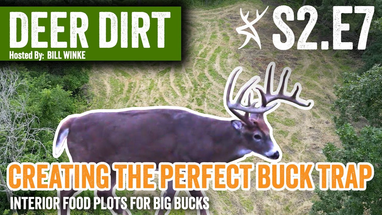 Creating the Perfect Buck Trap | DEER DIRT w/ Bill Winke S2 EP. 7 - YouTube