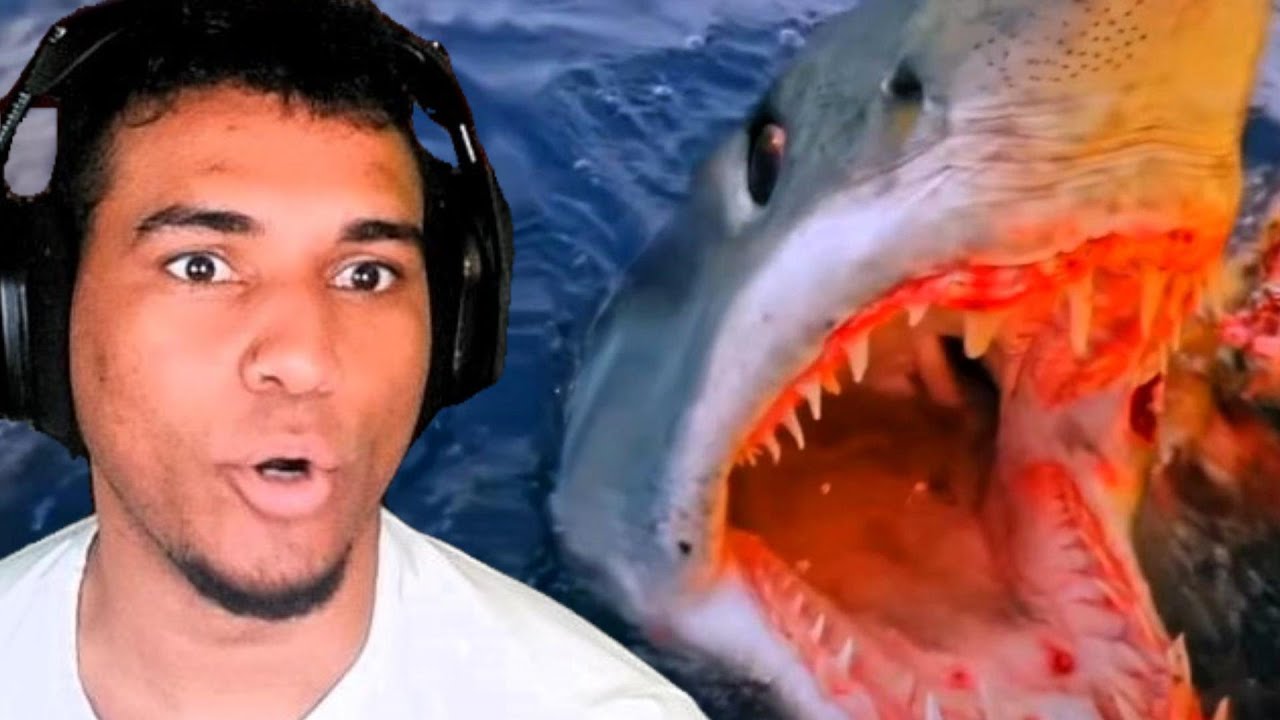 Top Moments In Shark Week - YouTube