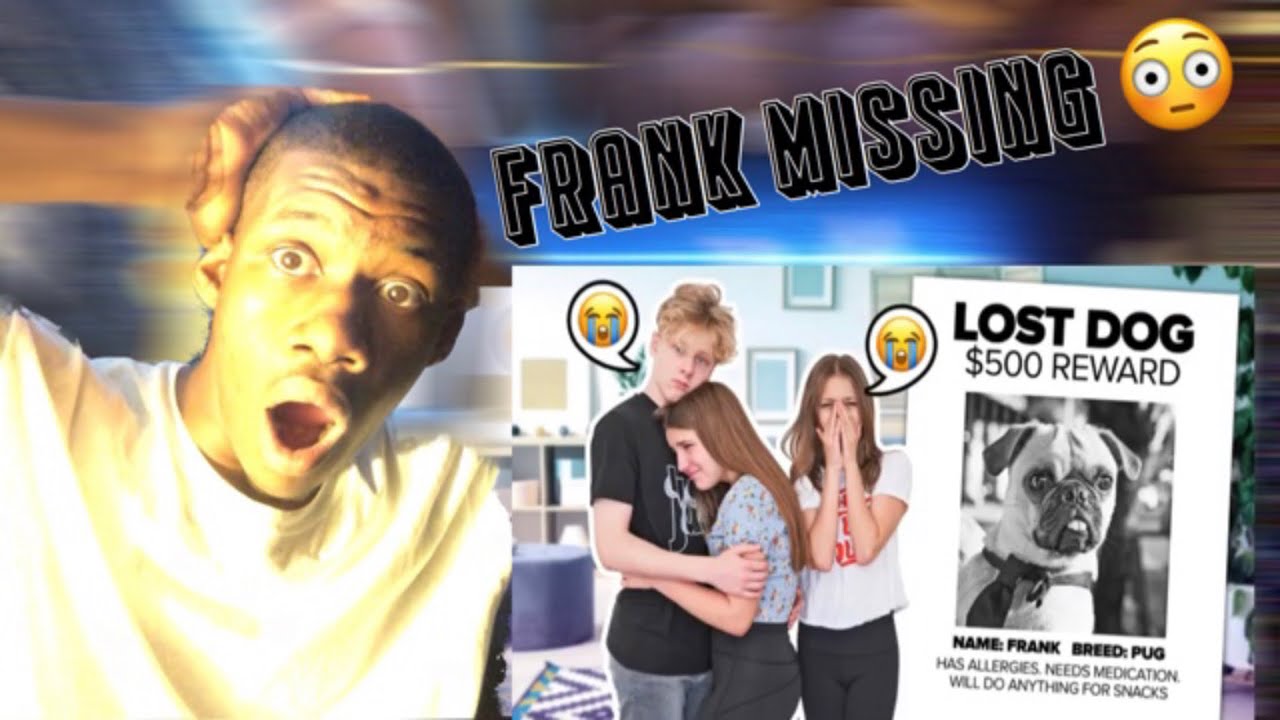Piper Rockelle PUG is Missing *HELP FIND FRANK* #jrtimeREACTION - YouTube