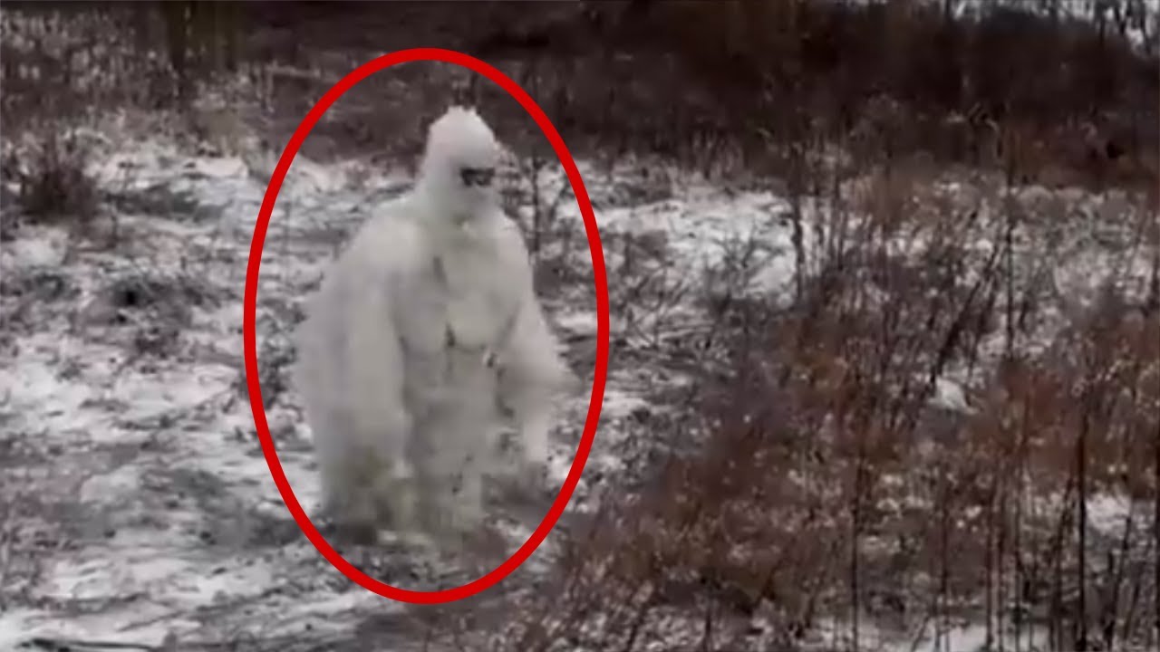 5 Yeti caught on camera - YouTube