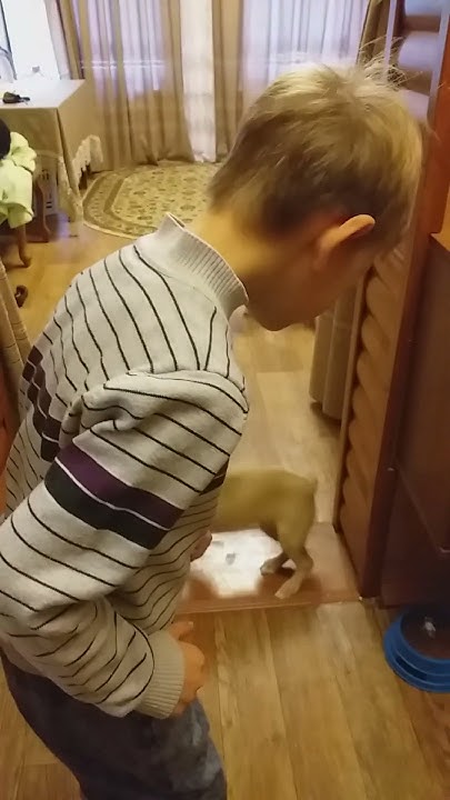 незванный гость хуже татарина Youtube