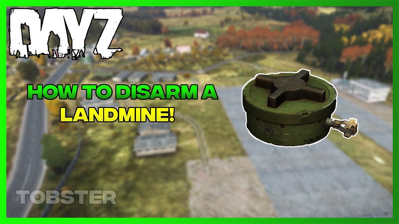 DayZ - How to Disarm Landmines Safely (DayZ Survival Guides) - YouTube