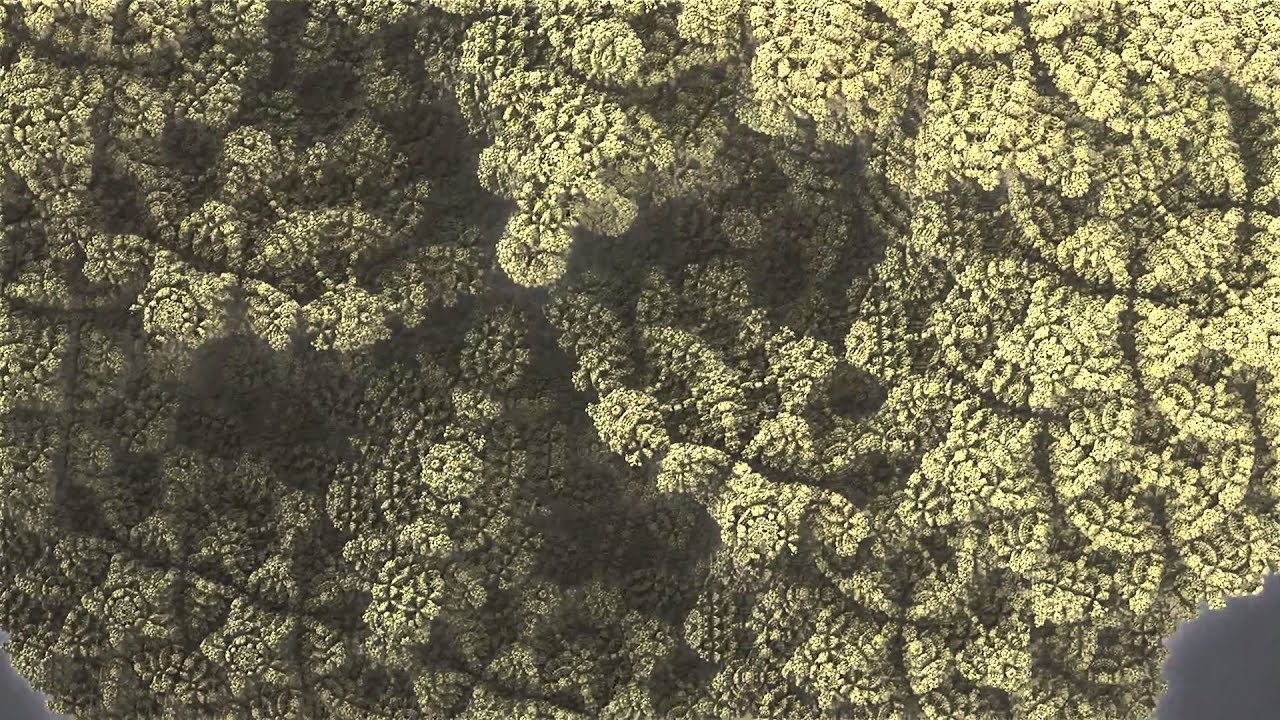 High Definition Fractal - 1080p - YouTube