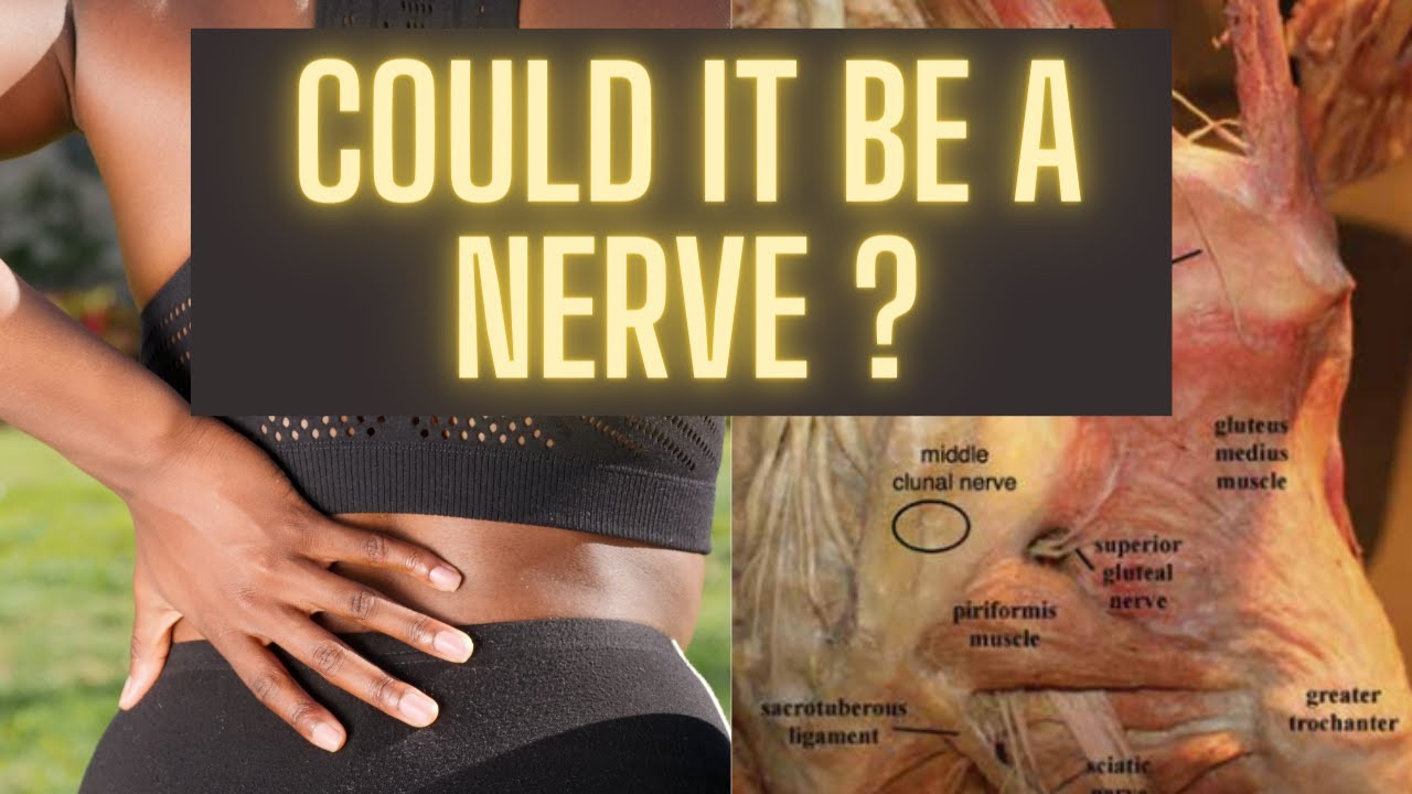 Inferior Cluneal Nerve