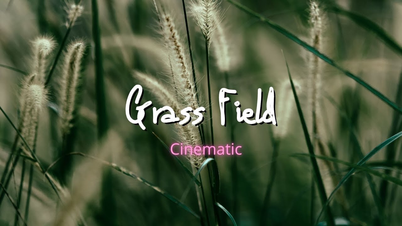 Grass || Short Cinematic Video || - YouTube