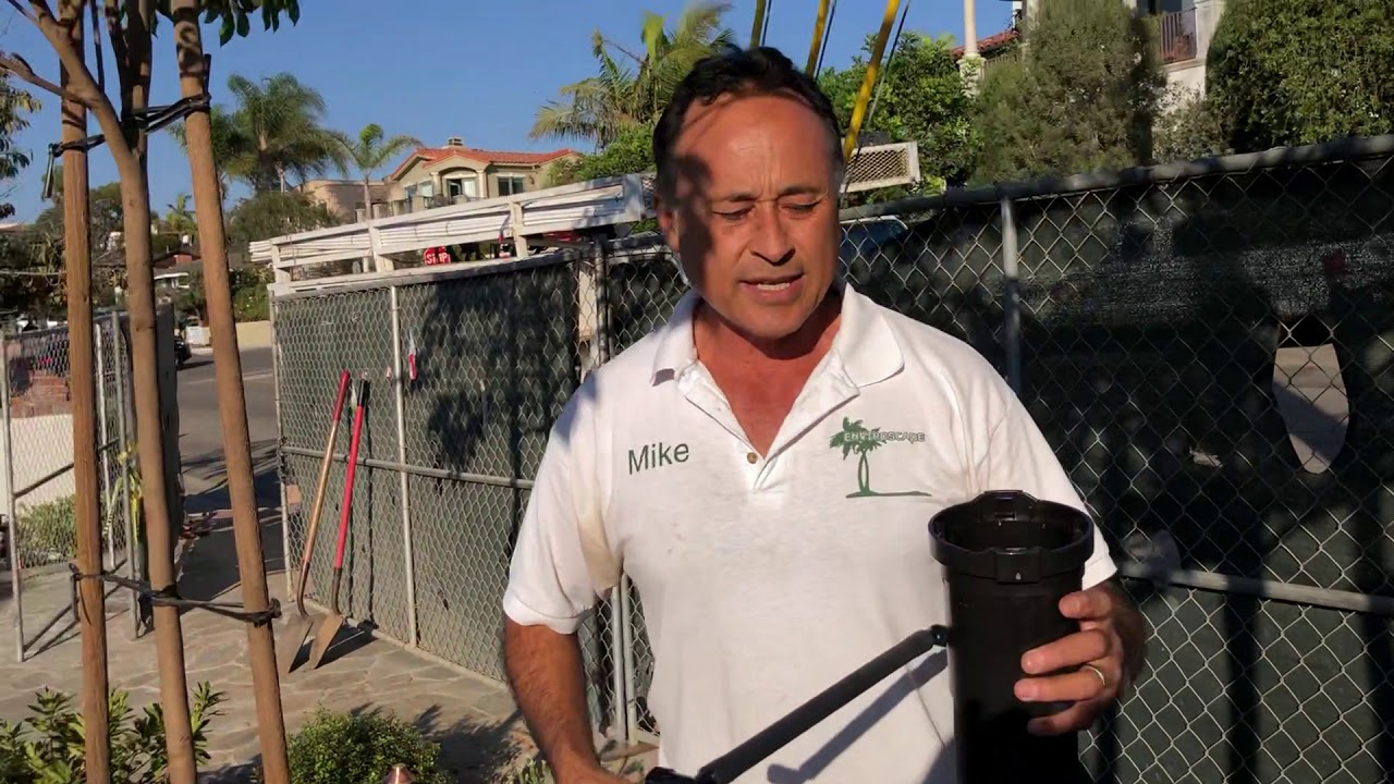 Genius watering system for Tree Roots - YouTube