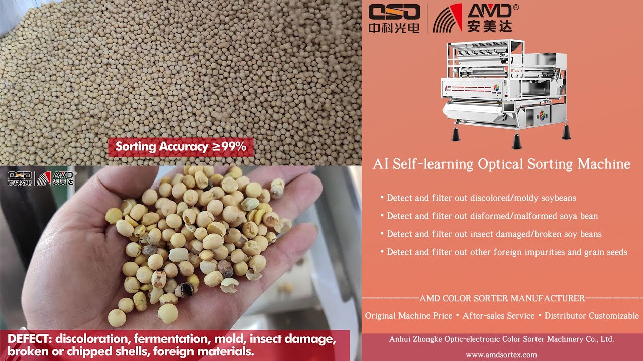 AMD P-LGS6 Legume Beans/Pulses Seeds Optical Color Sorter Machine Price ...