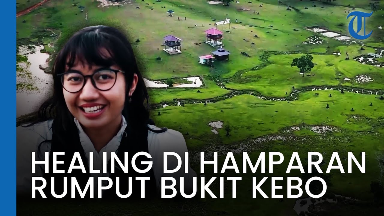 Healing dan Refreshing di Hamparan Rumput Luas di Bukit Kebo - YouTube