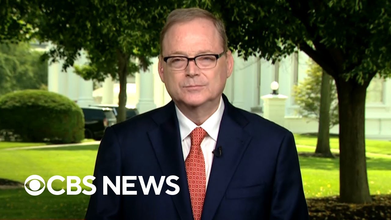 Top Trump economic adviser on what Americans should expect from new ...