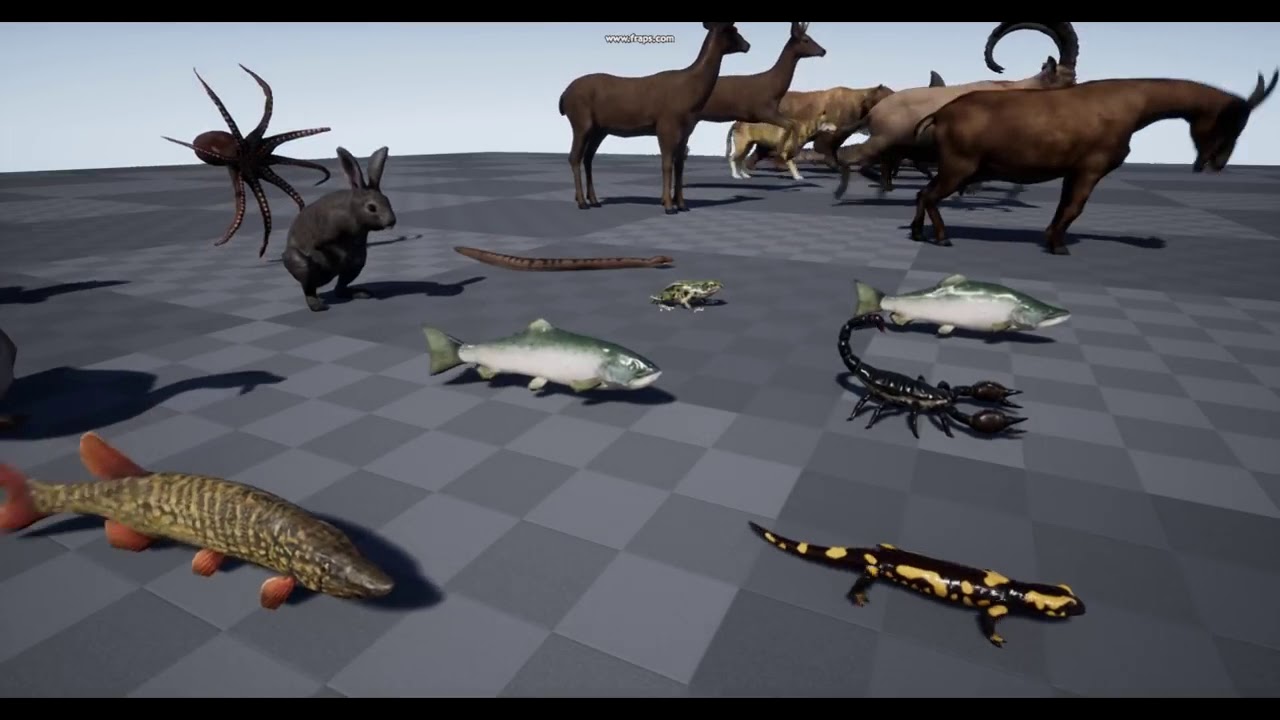 Unity Asset Store Pack - Animal pack deluxe (Download link below) - YouTube