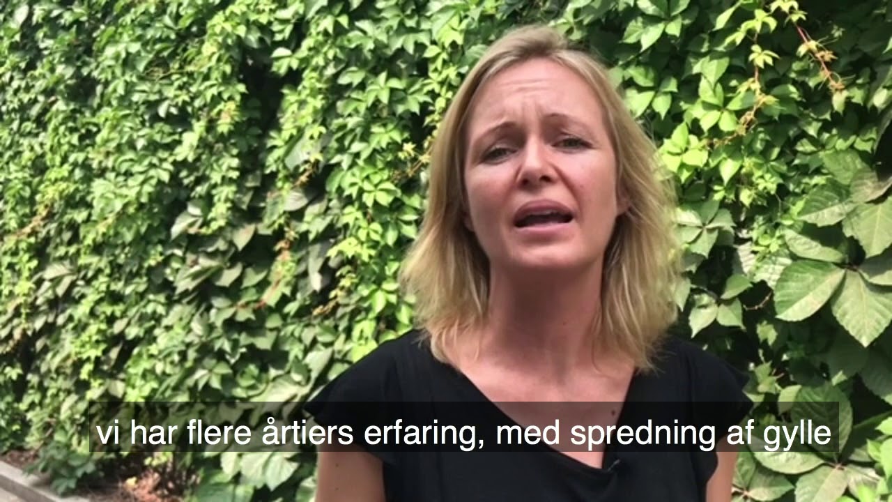 Myndighedssamarbejde - Tilde Hellsten - YouTube