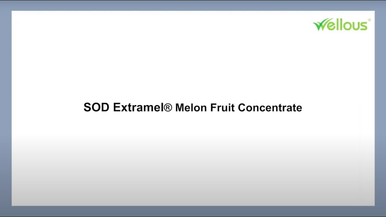 【Wellous】Dr. Amir - SOD Extramel® - YouTube
