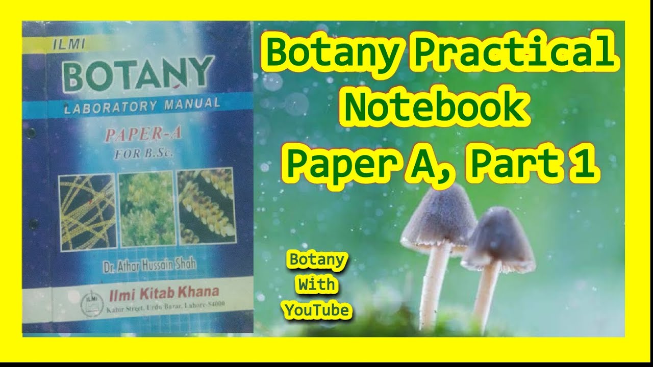 Practical Notebook Botany Paper A | botany laboratory manual | solved ...