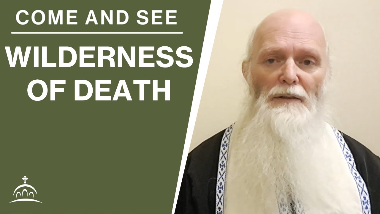 The Wilderness of Death (w/ Fr. Philip Hall) - YouTube