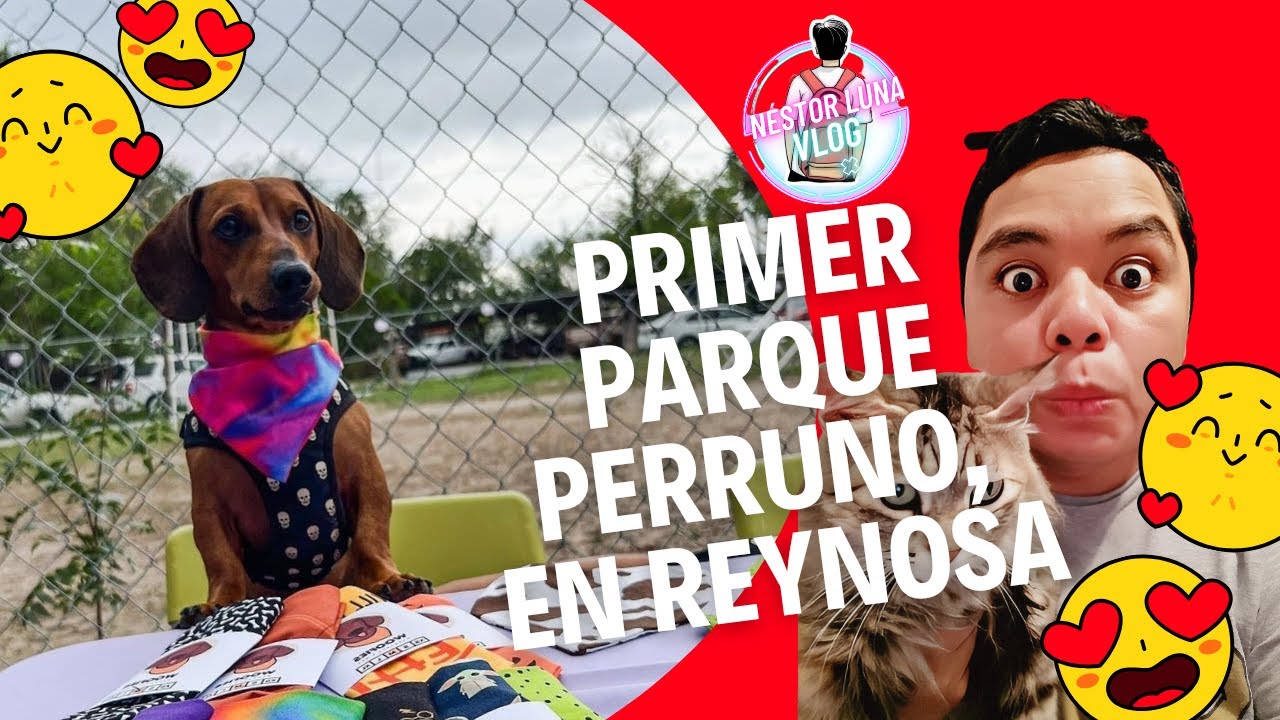 CONOCE_EL _PRIMER_PARQUE_PERRUNO_EN_REYNOSA - YouTube
