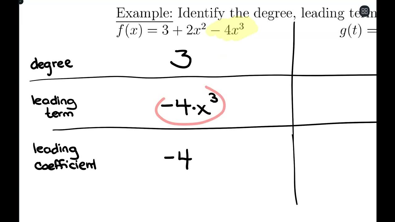 Properties of Polynomial Functions - YouTube