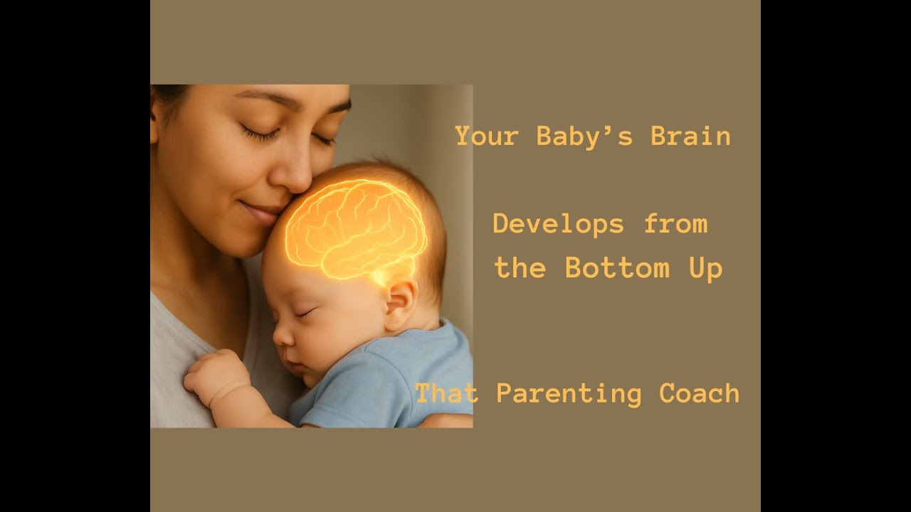 Did You Know Your Baby’s Brain Develops Bottom-Up? | Brain-Based ...