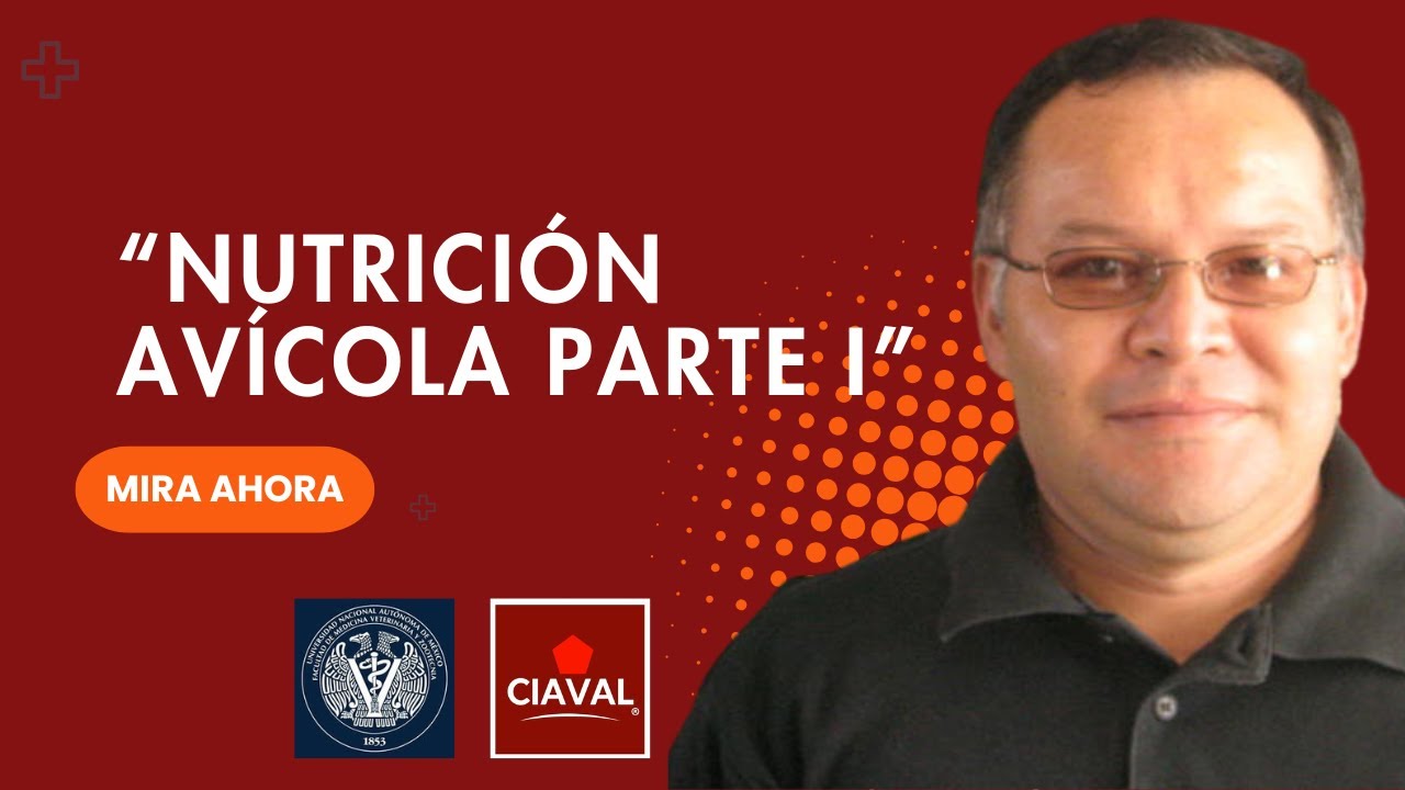 Plática Informativa sobre Nutrición Avícola. Parte I. - YouTube