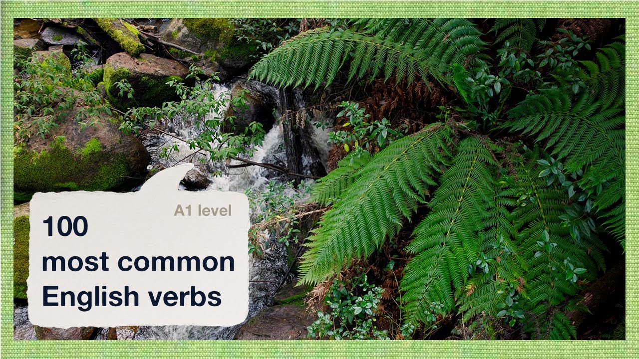 100 Most Common English Verbs A1 | Relaxing Australian Forest Ambience ...