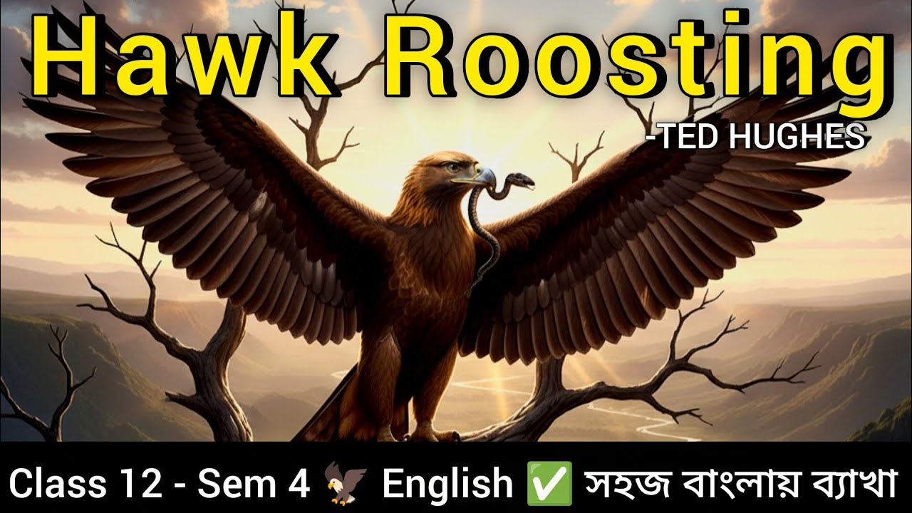 Hawk Roosting | Ted Hughes | Summary, Explanation, Analysis & MCQ ...