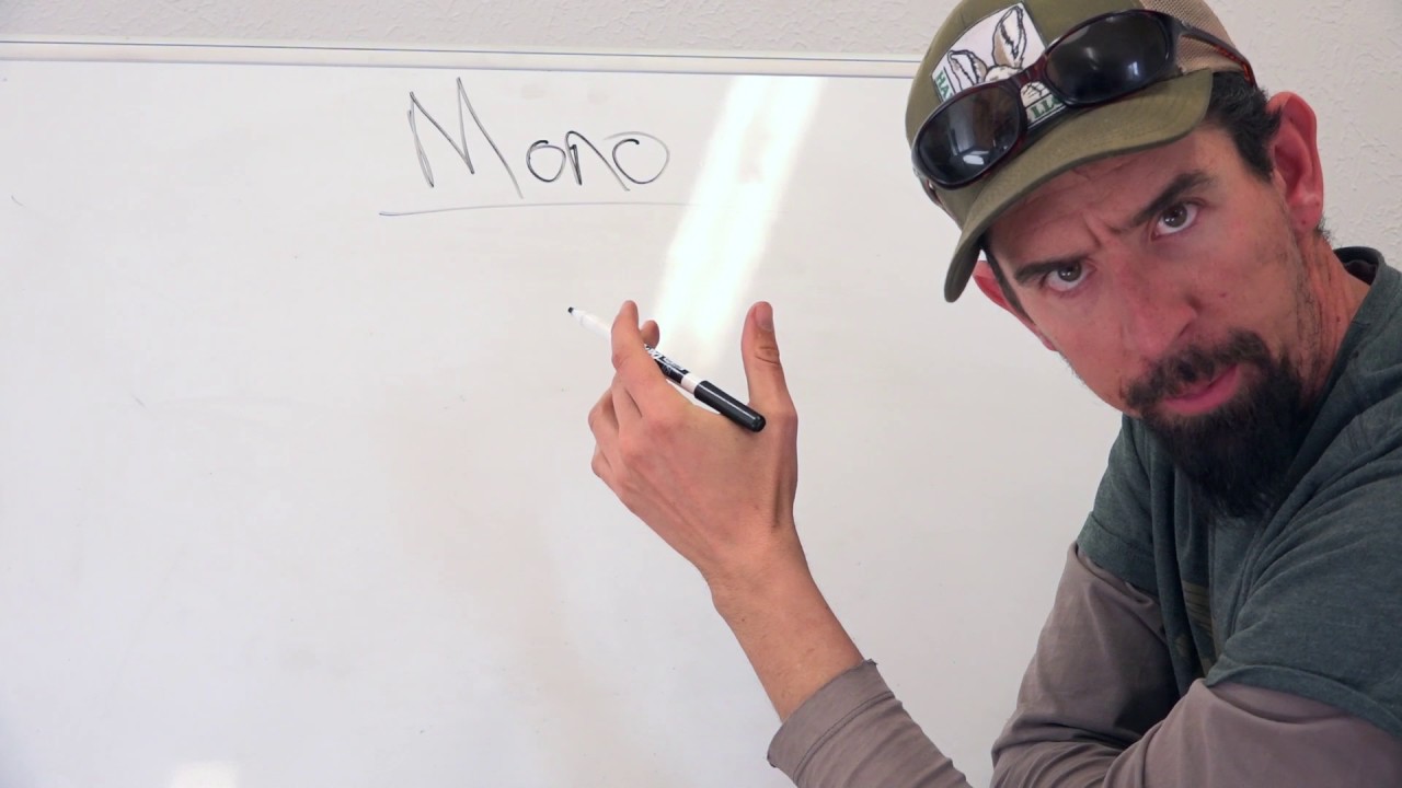 Musky Leaders Part: I Mono Vs. Steel - YouTube