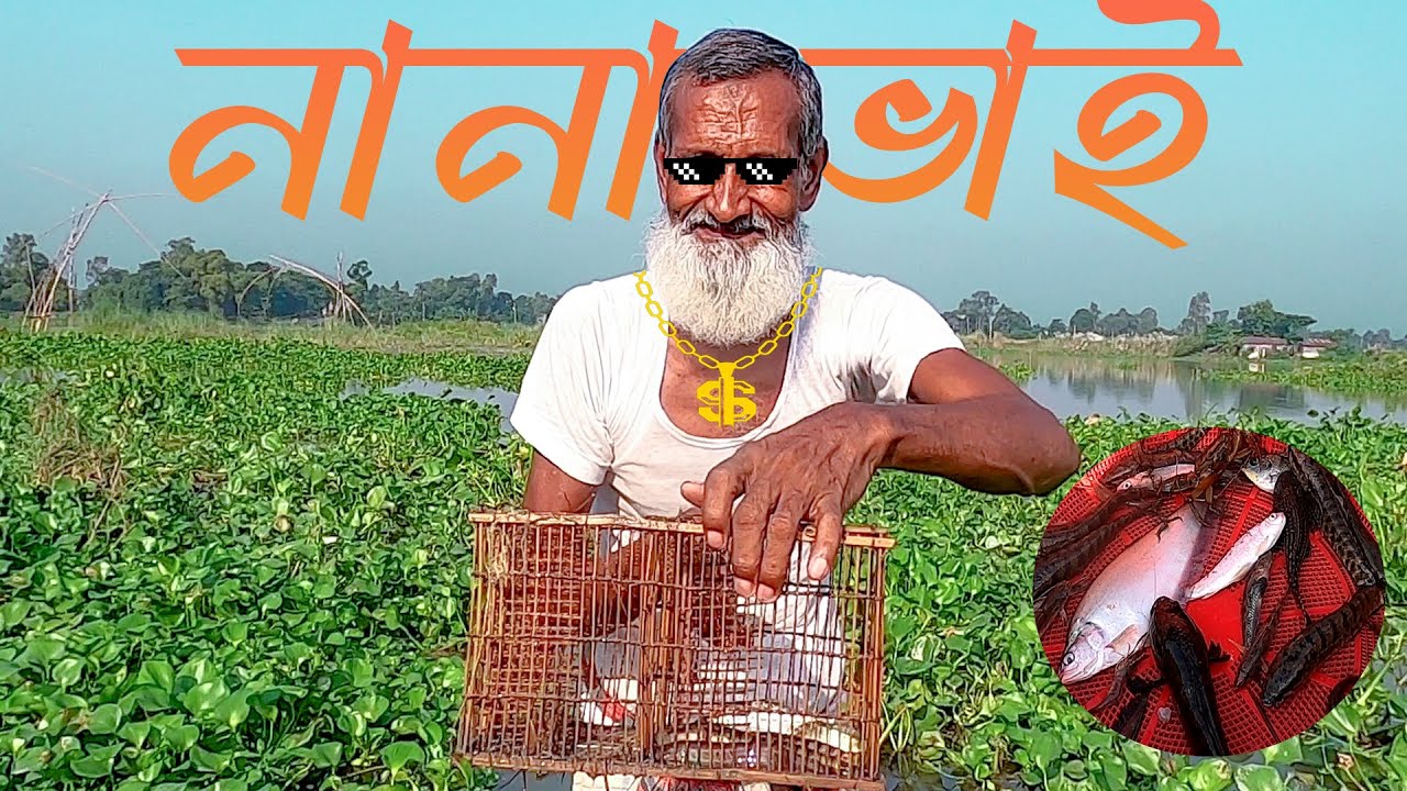 Applying this easy trap method And make Sure fishing in the river ...