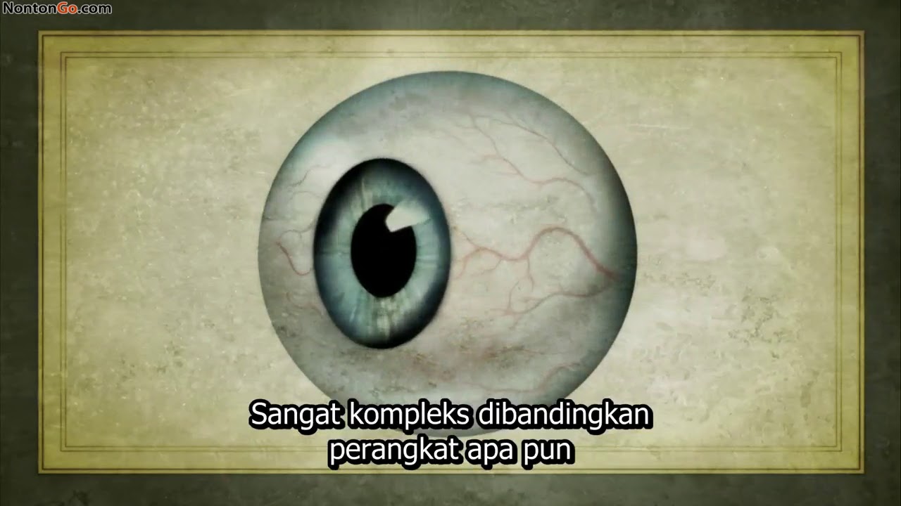 Cuplikan, Cosmos a Space Time Odyssey - Episode 2 - Some of the Things ...