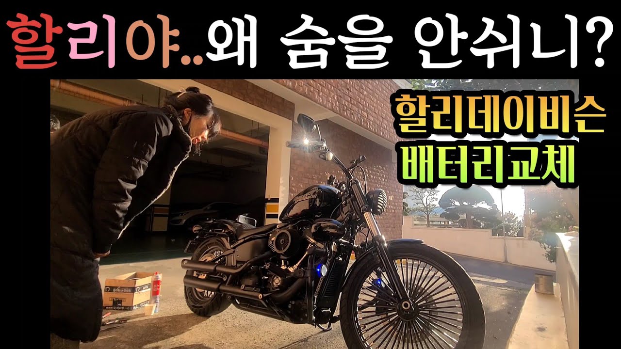 할리데이비슨의 겨울은 힘들어 바이크관리 초보라이더 바린이 할린이 코코할리 할리커스텀 로드킹 아이언883