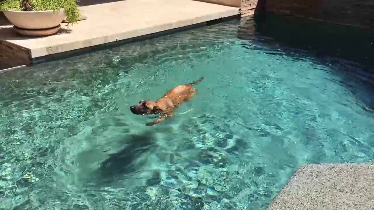 Marshall Pool Swimming 2018 0909 - YouTube