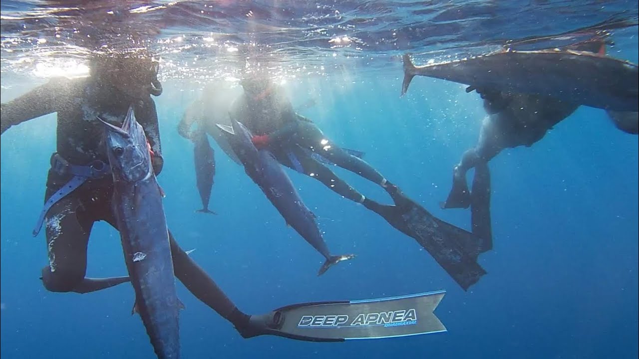 Latham island blue water spearfishing! - YouTube