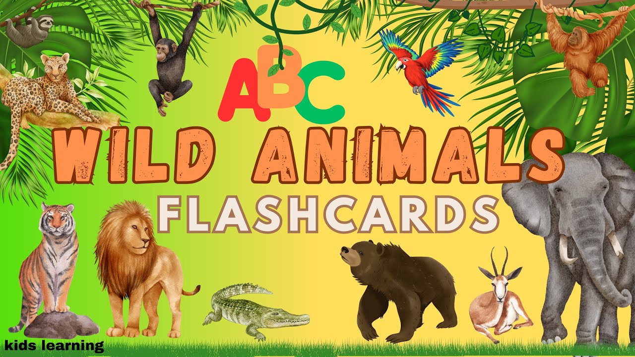 Wild Animals English Alphabet | A to Z Animals for Kids | ABC Fun ...