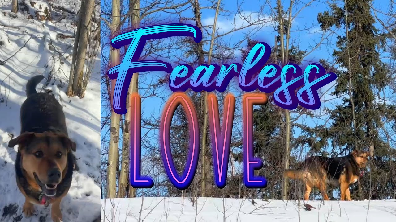 fearless love - YouTube