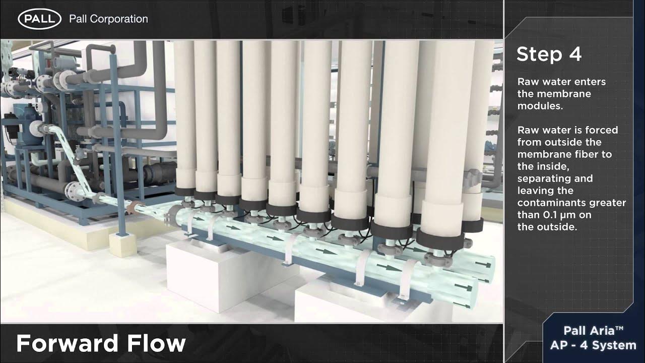 Forward Flow Filtration - Pall Australia - YouTube