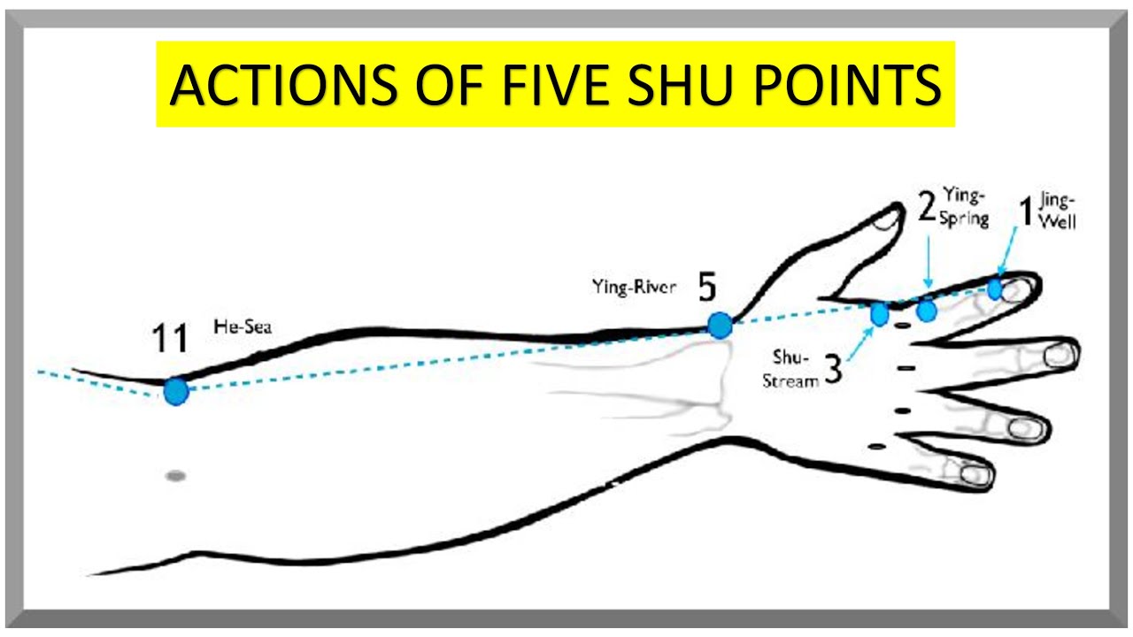 ACTIONS OF FIVE SHU POINTS ACCORDING TO THE CLASSICS 3 - YouTube