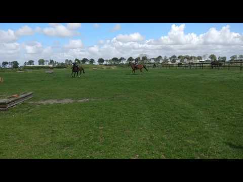 Cross jump Noa Ori and Ella 2017