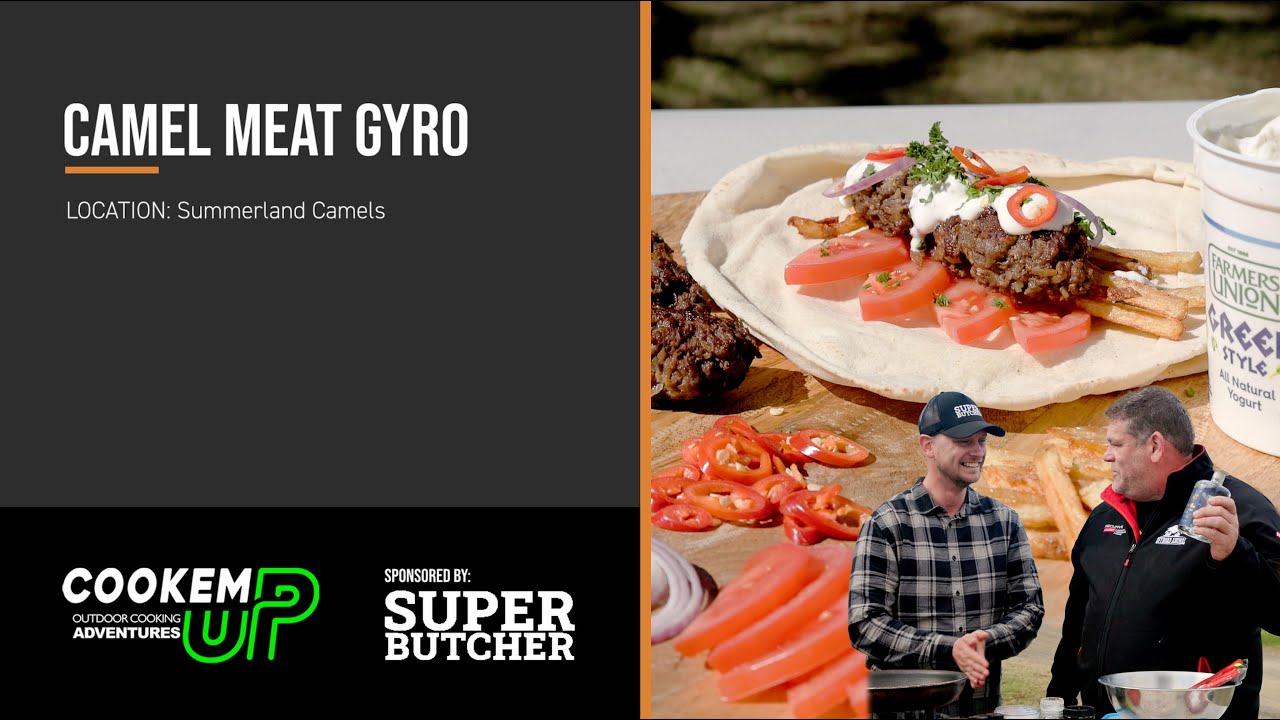 Camel Meat Gyro - Camp Cooking or Cook at Home! - YouTube