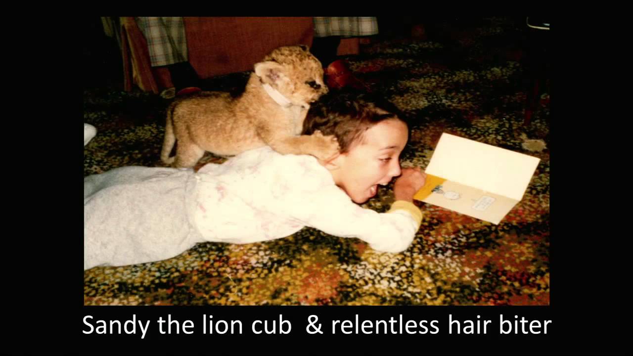 Wisdom From My Flaming Hot Rod Wheelchair Nick Roussos TEDxFrontRange ...