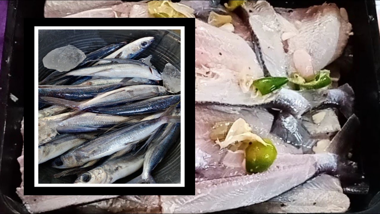 Marinated flying fish:ekan/burador - YouTube