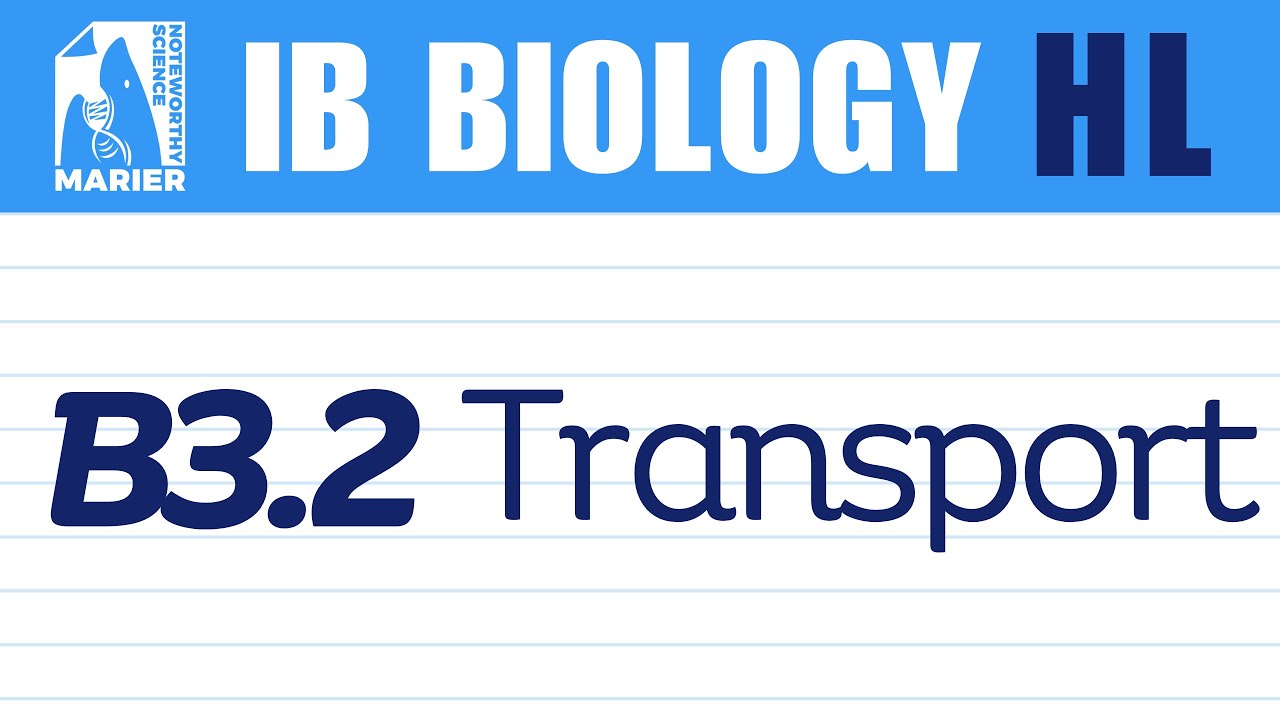 B3.2 Transport – Interactive Lesson | IB Biology HL - YouTube