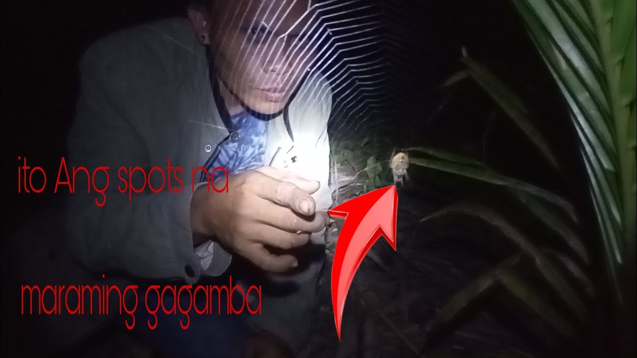 Spider night hunting""ito Ang spots na maraming gagamba""marjun fighter ...