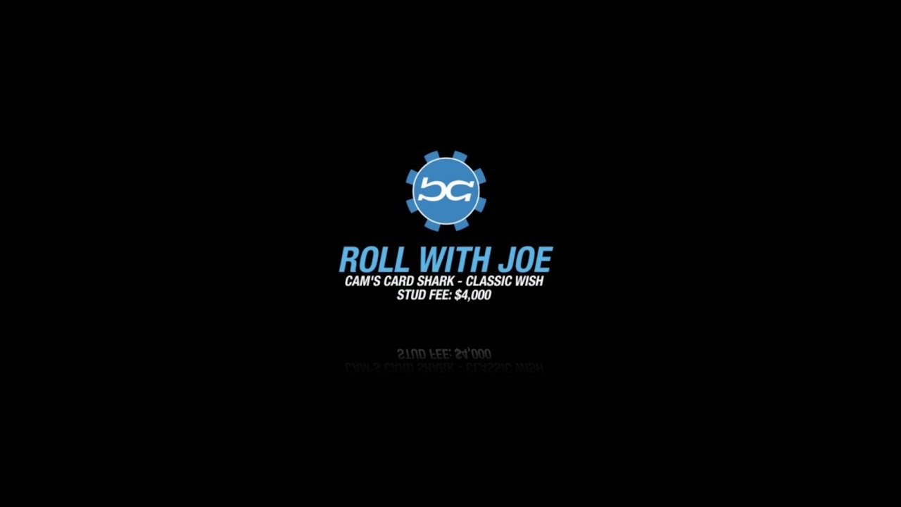 Blue Chip Stallion: Roll With Joe - YouTube