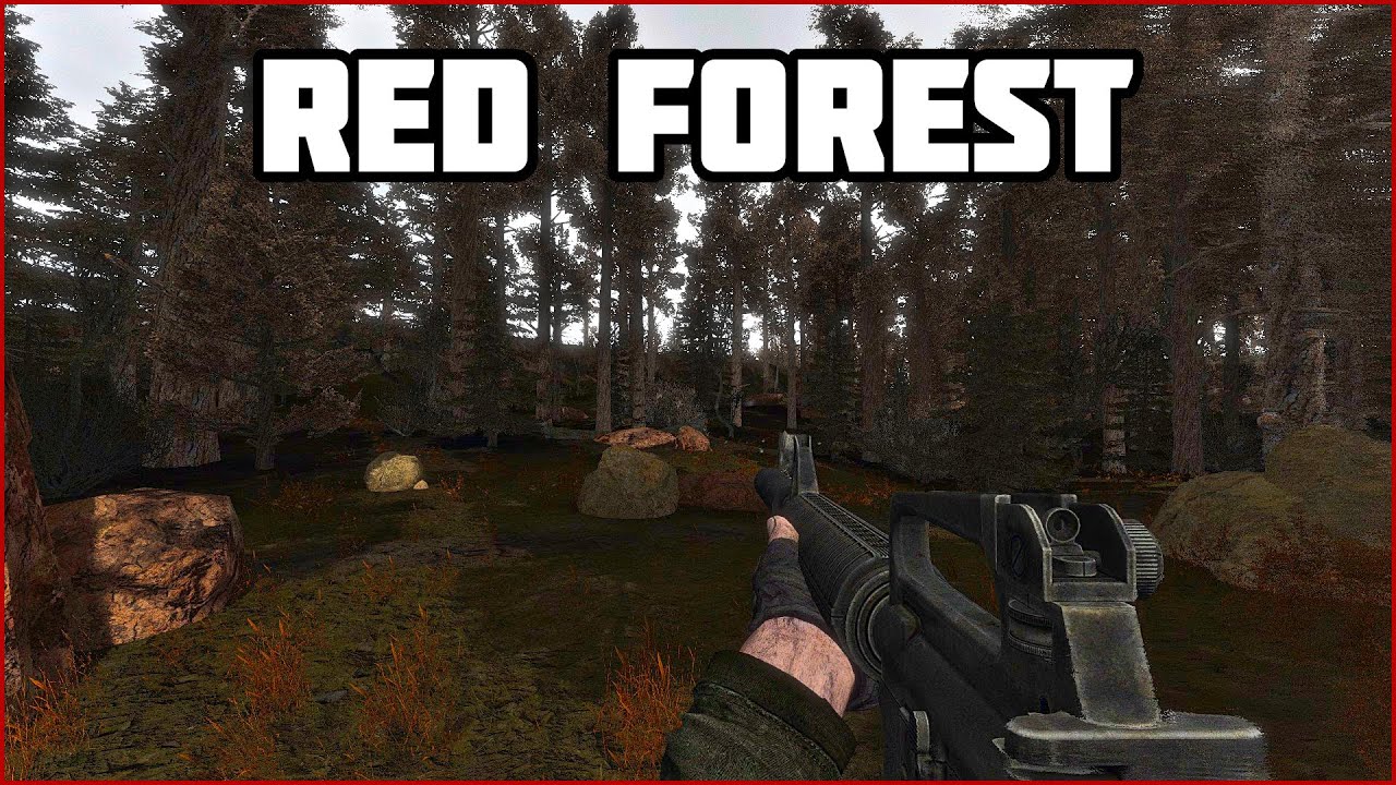 Surrounded in the Red Forest - Stalker Anomaly (50+ Addons) - YouTube