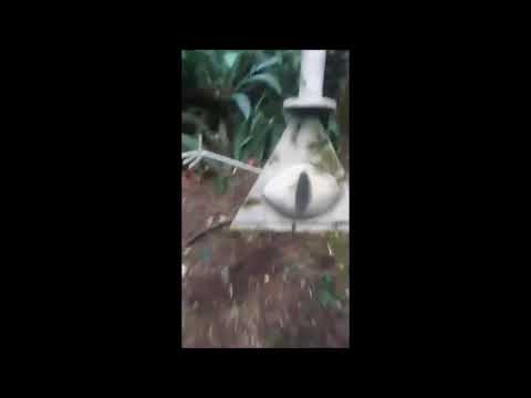 Esrarengiz Kasaba Gerçek Bill cipher heykeli! finding bill cipher statue