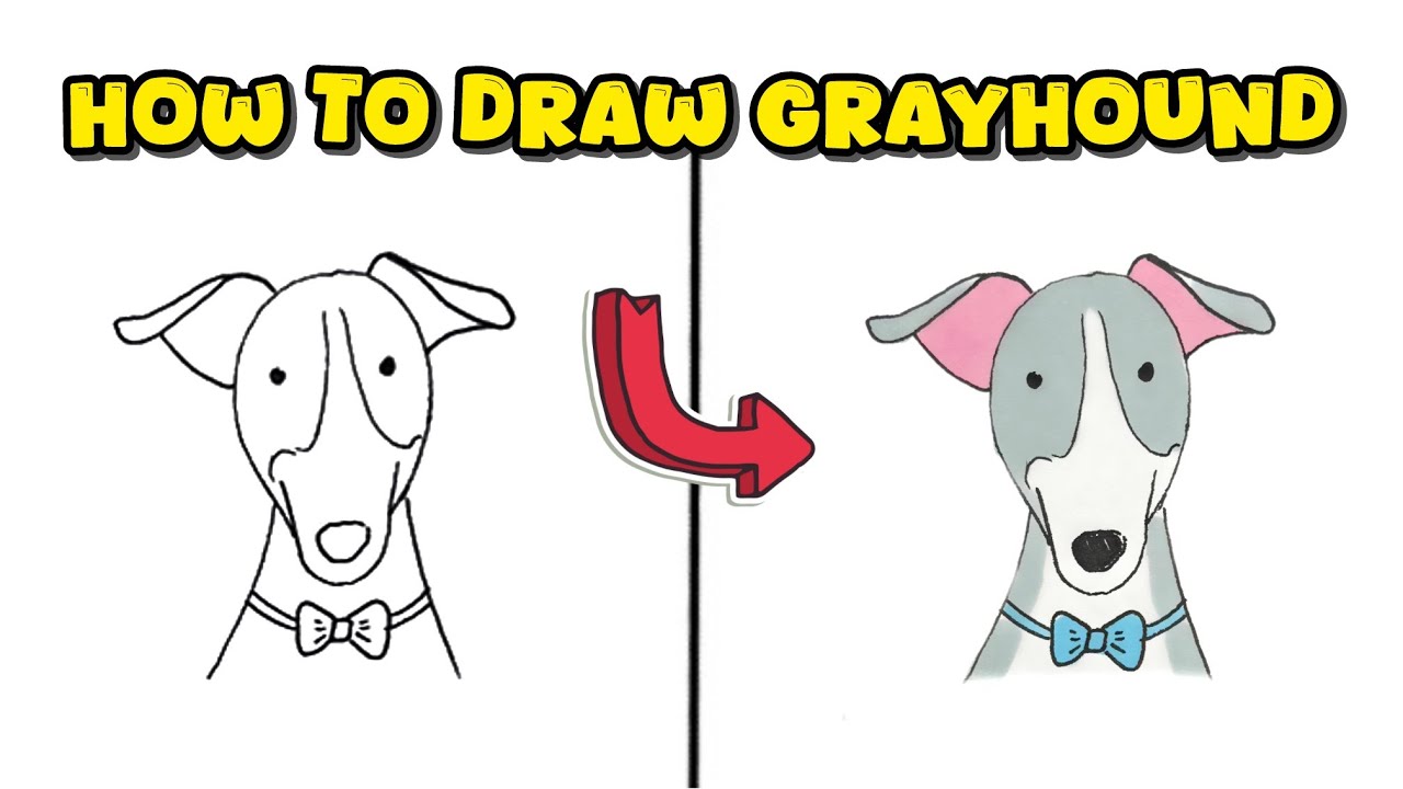 How to Draw a Greyhound Dog Step-by-Step – Simple Dog Breed Art ...