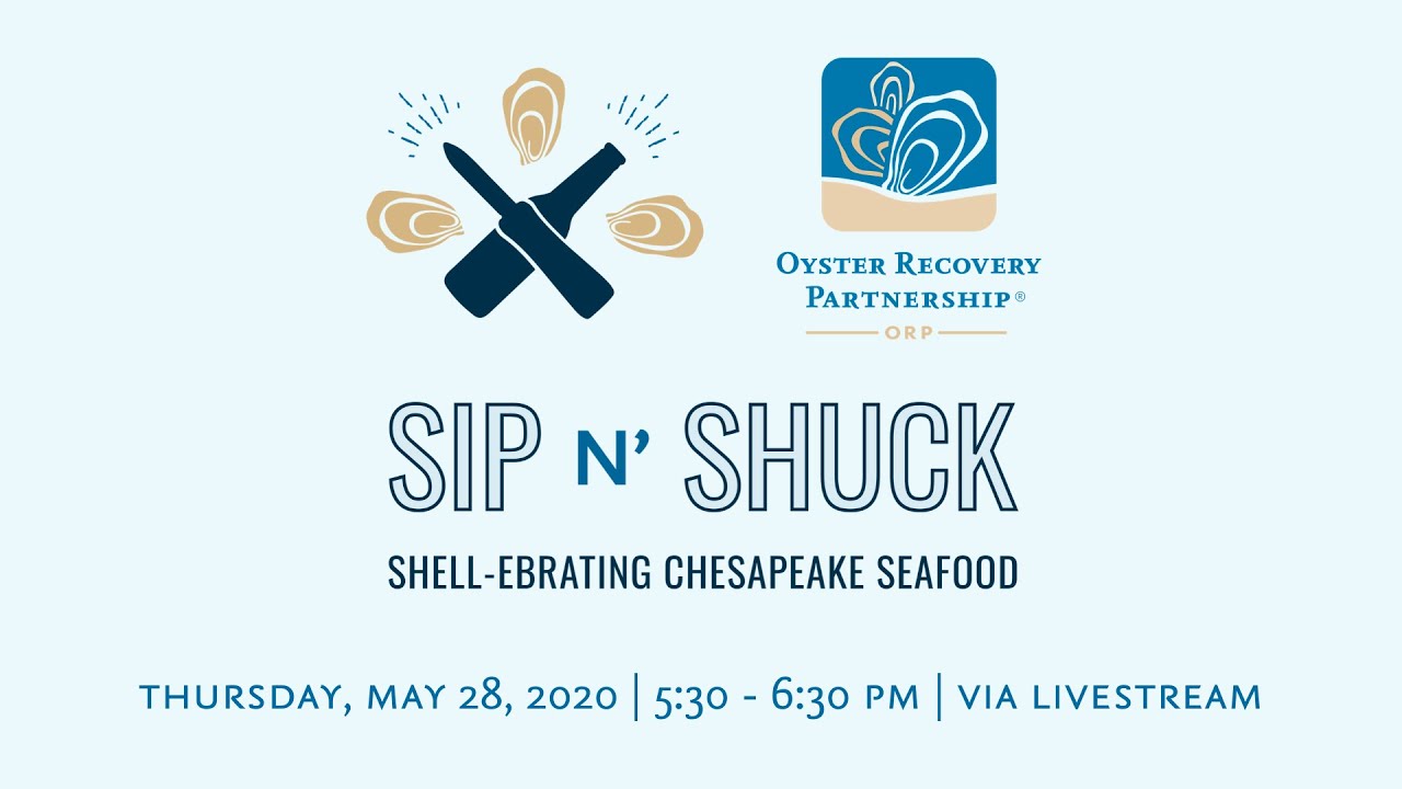 May 28th: Sip n Shuck to Shell-ebrate Chesapeake Seafood - YouTube
