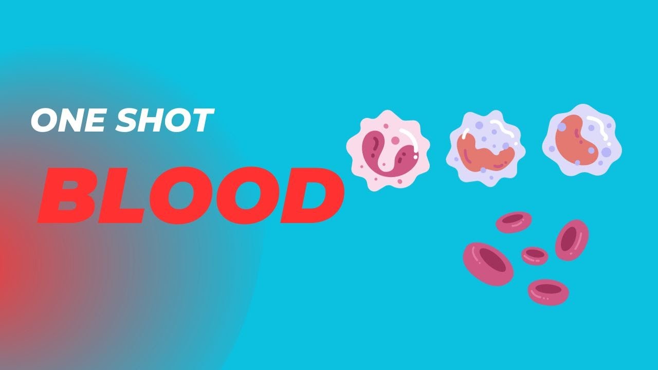 BLOOD in one shot ! ||Body Fluids and Circulation || NEET|| - YouTube