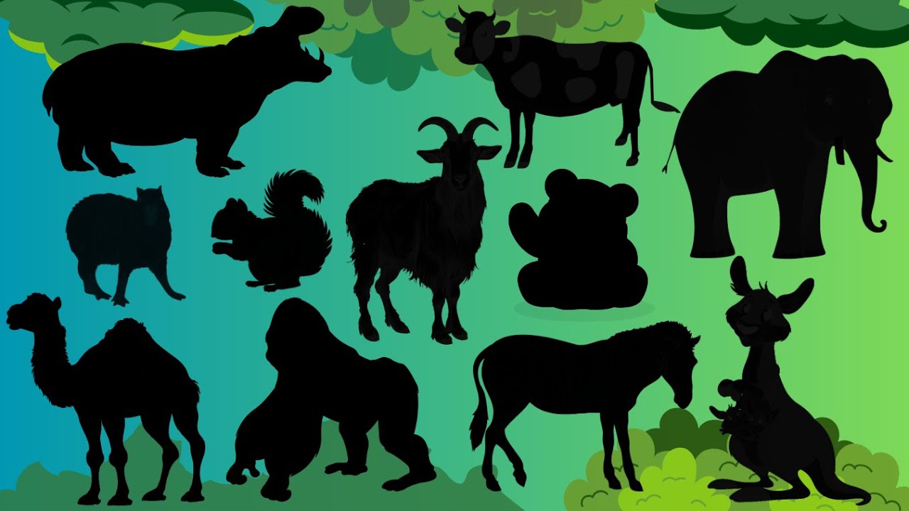 Guess the Herbivore: Fun Animal Puzzles for Kids - Learn Names and ...