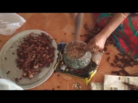 How To Remove Insects From Tamarind