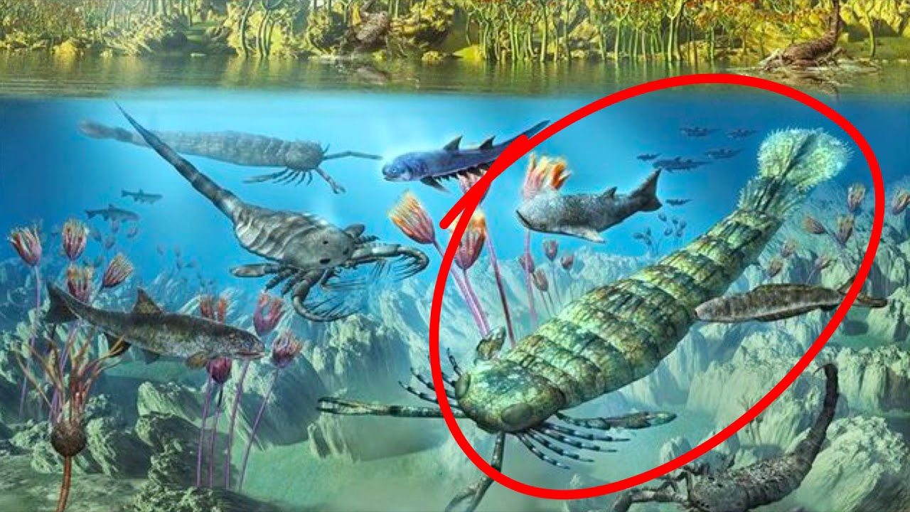 Paleozoico - Geología - 4eso - YouTube