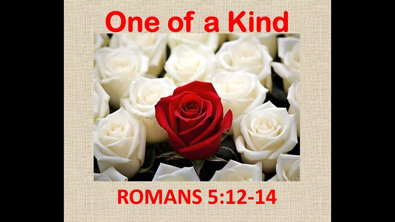 One of a Kind Romans 5 : 12 - 14 - YouTube